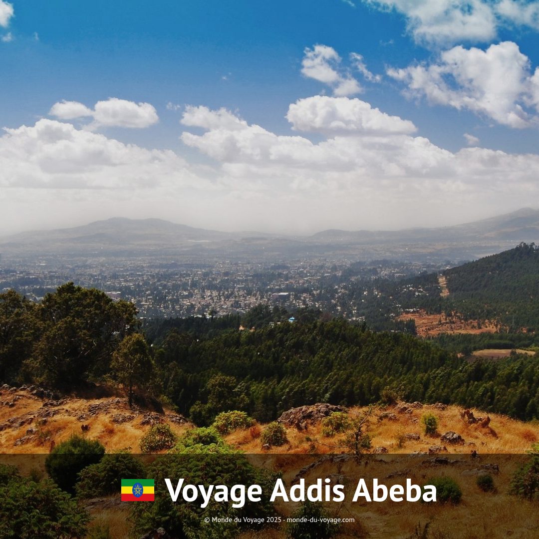 Assurance voyage Addis Abeba, souscrire une assurance ou une assistance ...